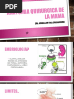 Guía de Reparos Anatómicos Óseos | PDF