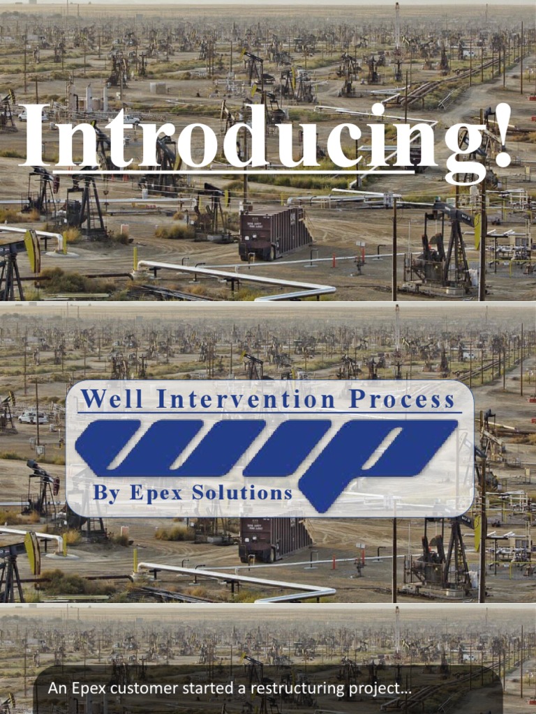 Well Intervention | PDF
