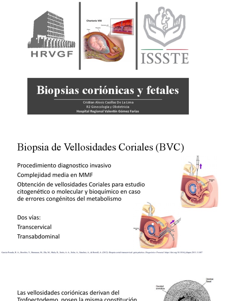 Guía de Biopsia Corial Transcervical | PDF | Relaciones personales ...