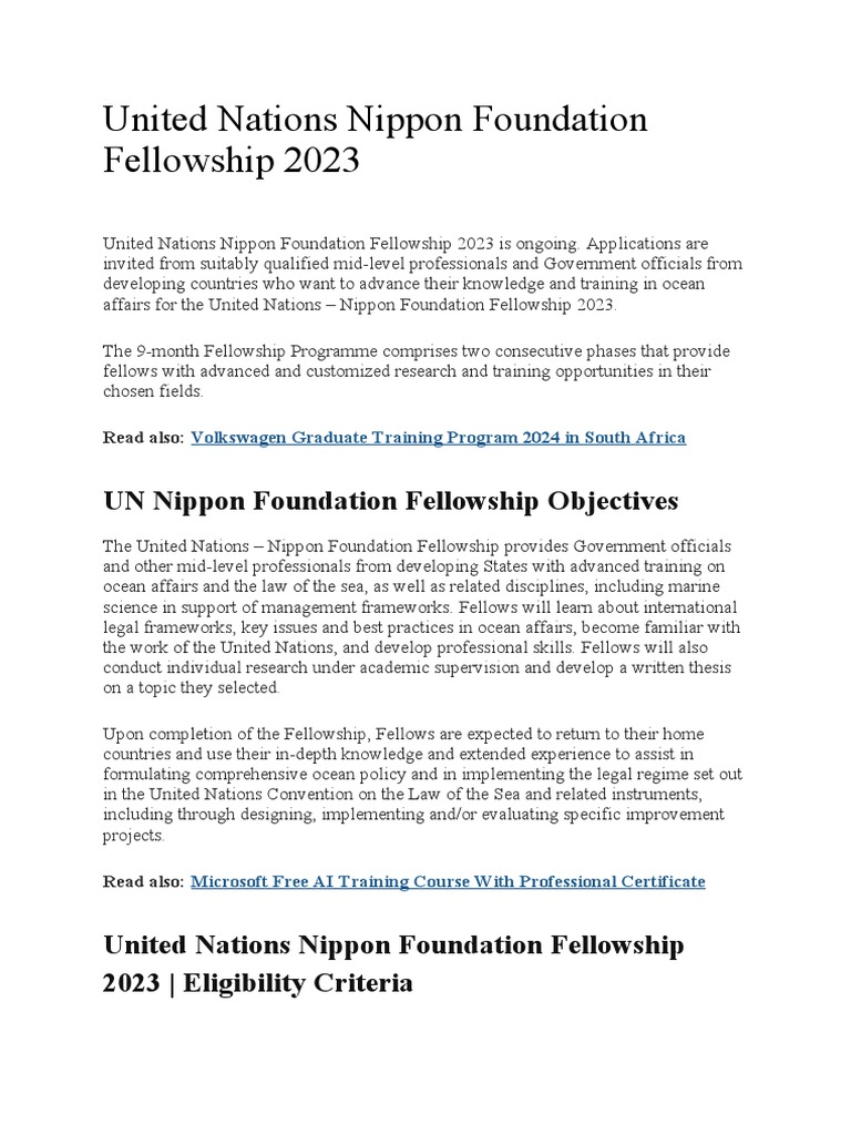 UN Nippon Foundation Fellowship 2023 | PDF | United Nations ...