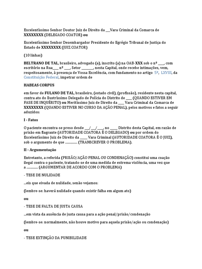 modelo-de-habeas-corpus | PDF