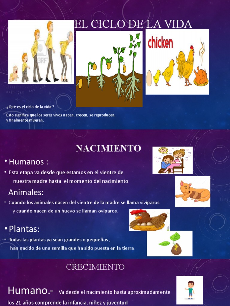 El ciclo de la vida | PDF