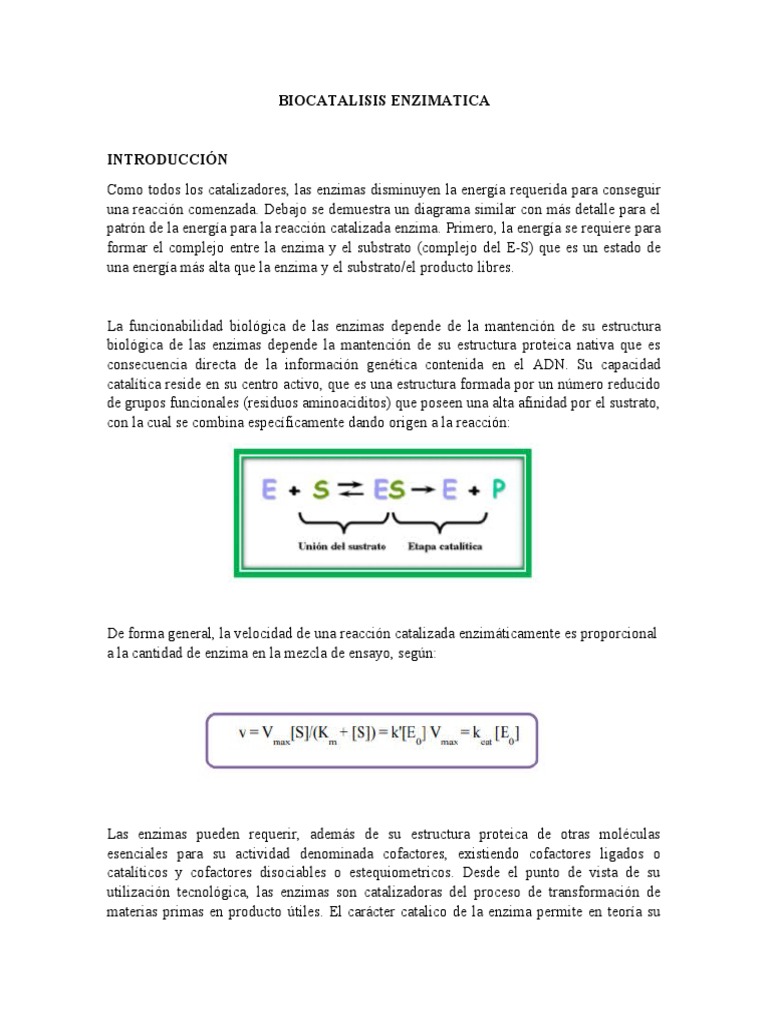 Biocatalisis Enzimatica | PDF