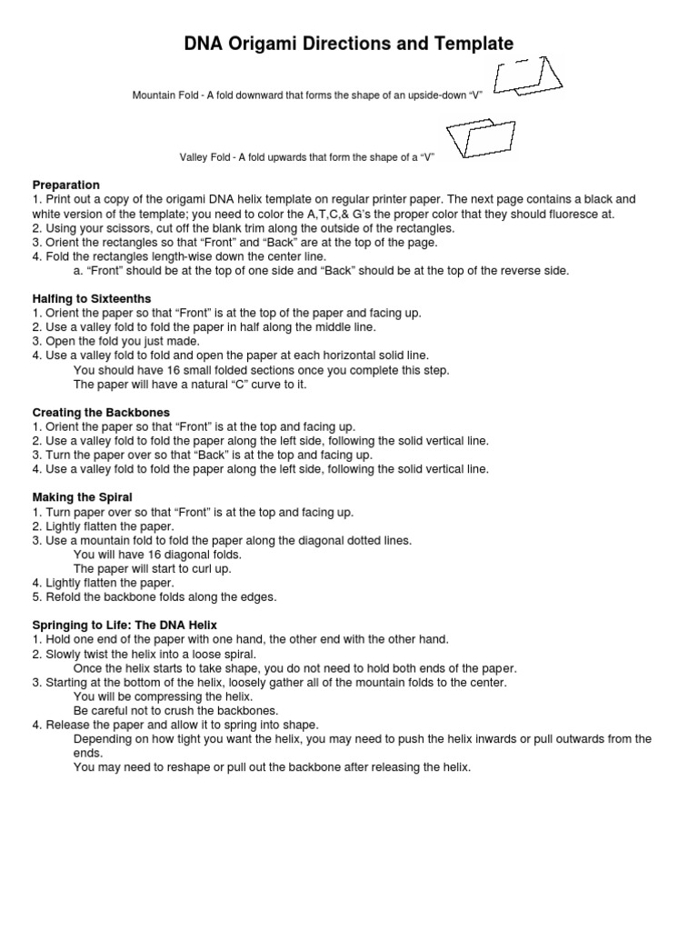DNAorigami | PDF | Dna