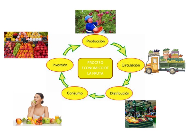 Proceso Economico de La Fruta | PDF