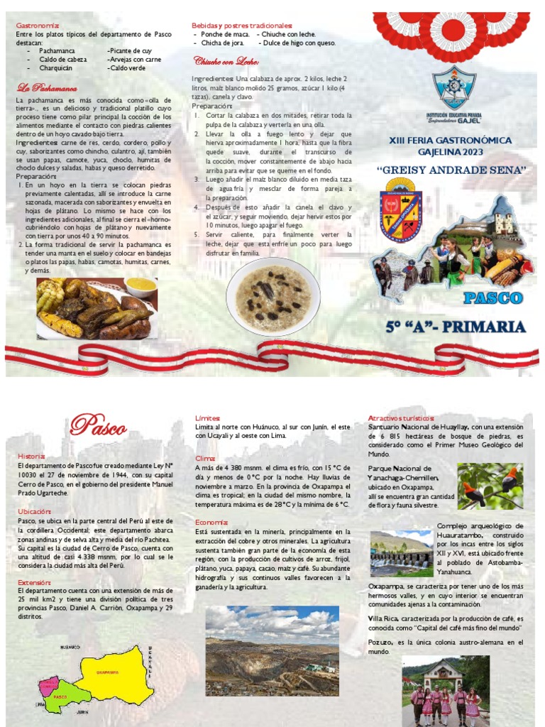 Triptico Pasco | PDF