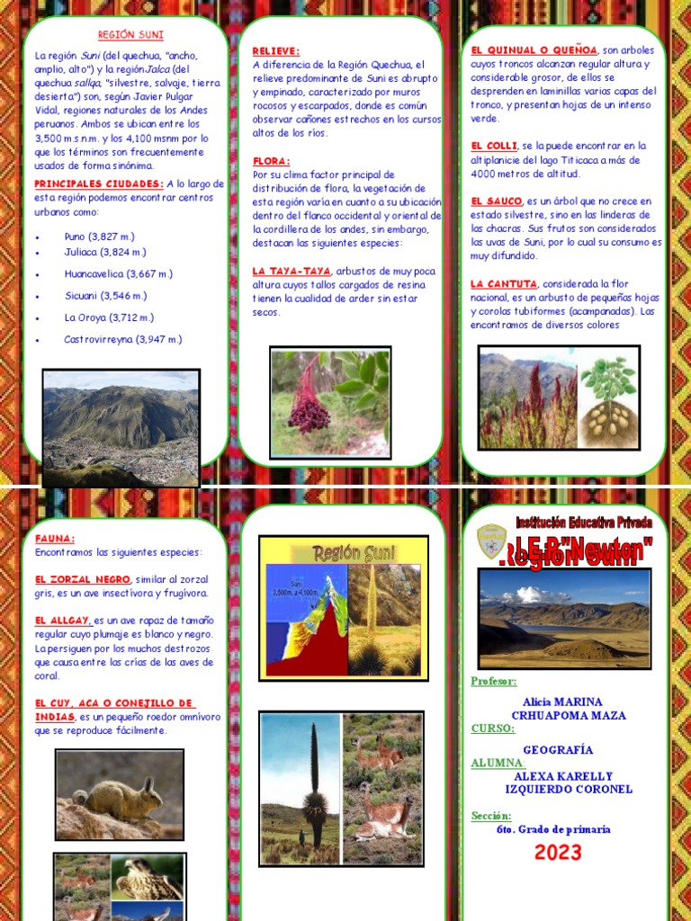 SUNI | PDF | Aves | Organismos