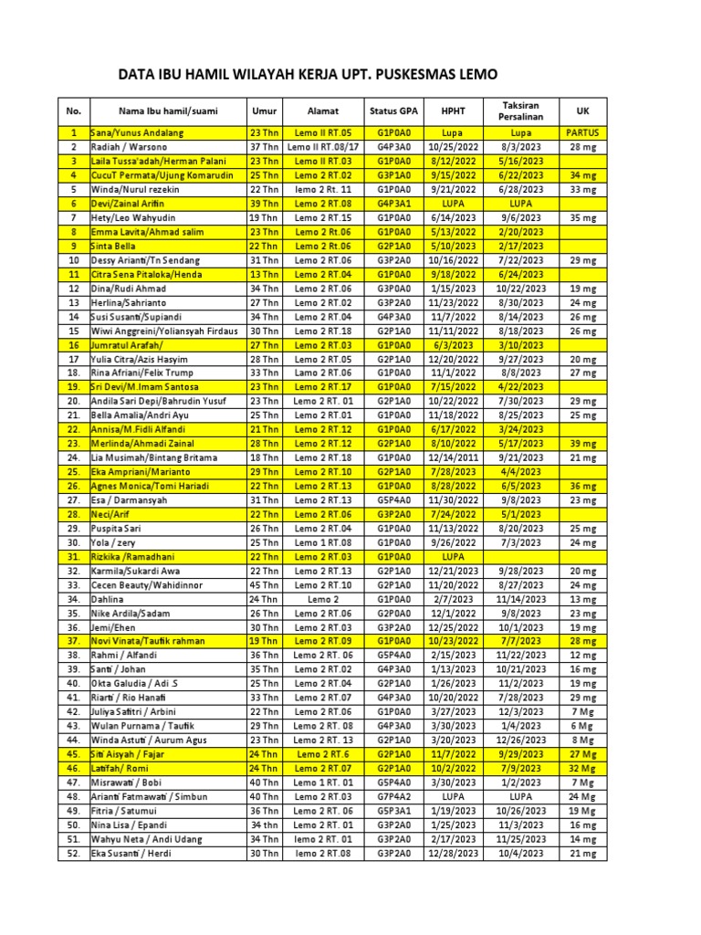 Data Ibu Hamil 2023 | PDF