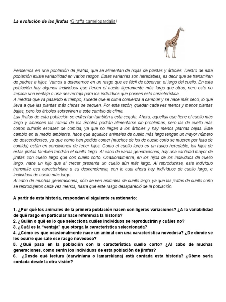La Evolución de Las Jirafas | PDF | Evolución | Plantas