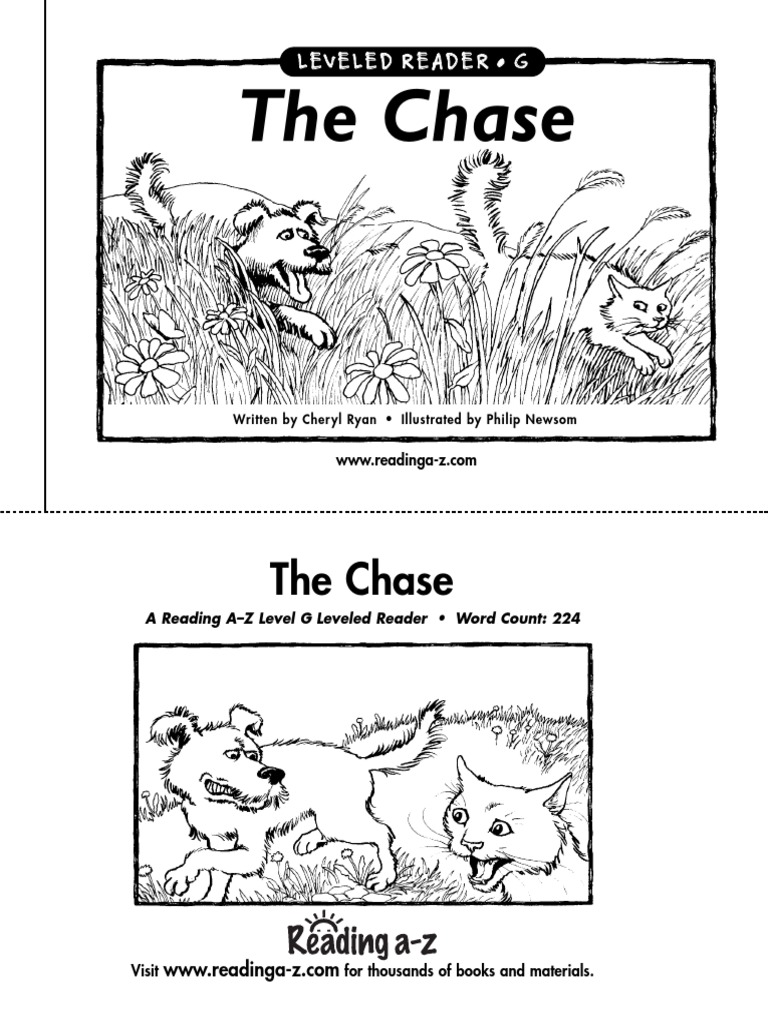 G 10.the Chase | PDF