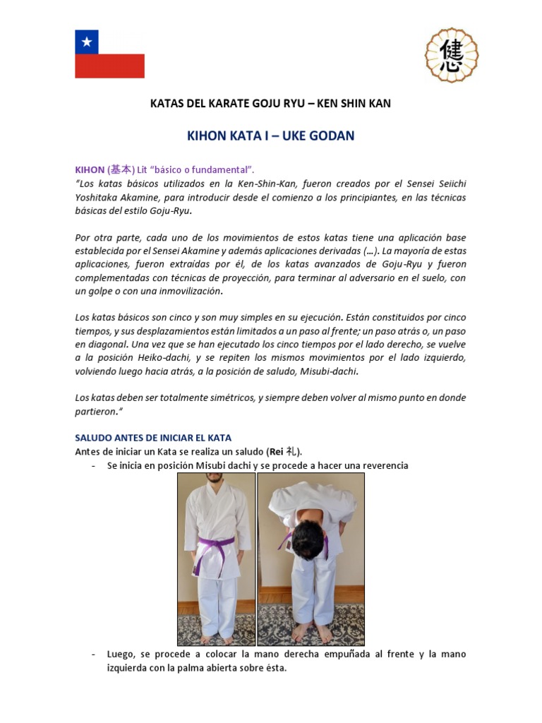 Kihon Kata I - Uke Godan | PDF | Kata | Gendai Budo