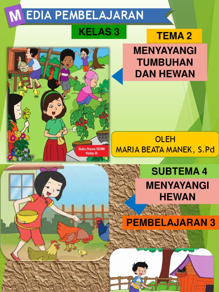 Media Pembelajaran Kelas 3 | PDF