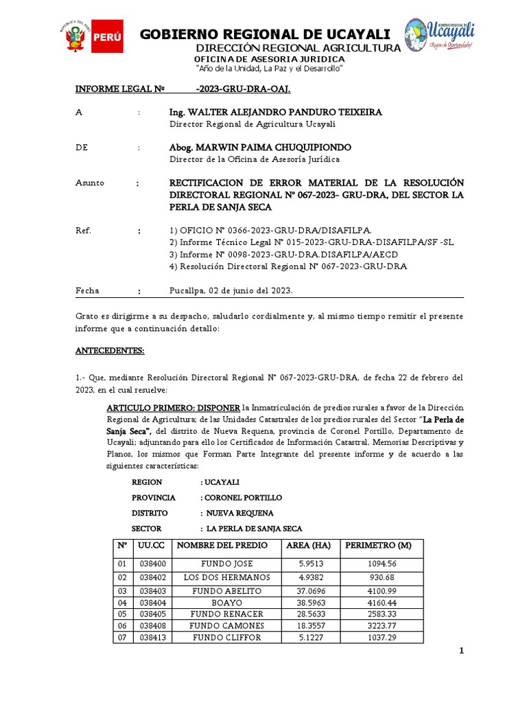 Informe Legal - de Rectificacion de Error Material Sanja Seca | PDF ...