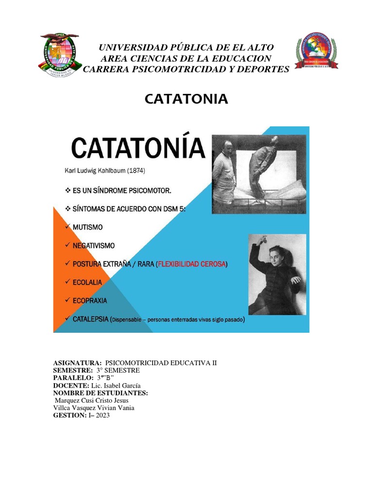 Catatonia: Síndrome Psicomotor y Diagnóstico | PDF