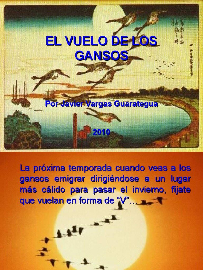 El Vuelo de Los Gansos | PDF