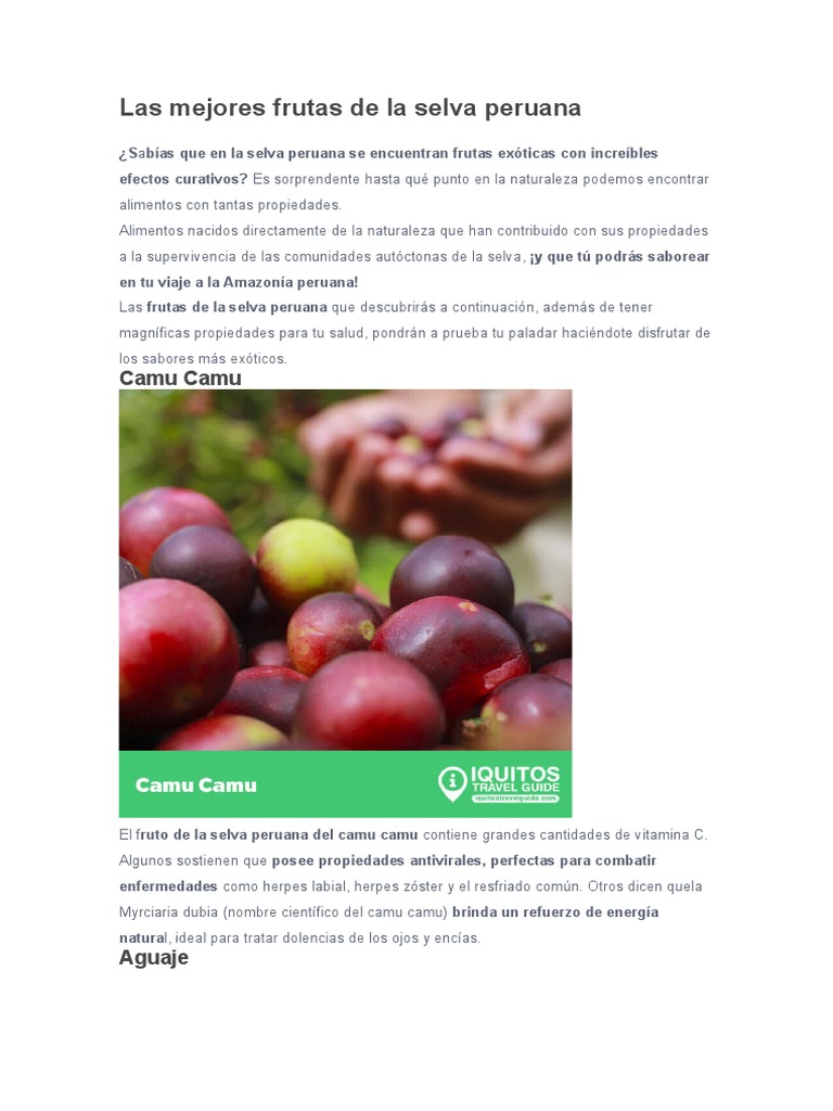 Las mejores frutas de la selva peruana | PDF | Nutrición | Dieta y ...