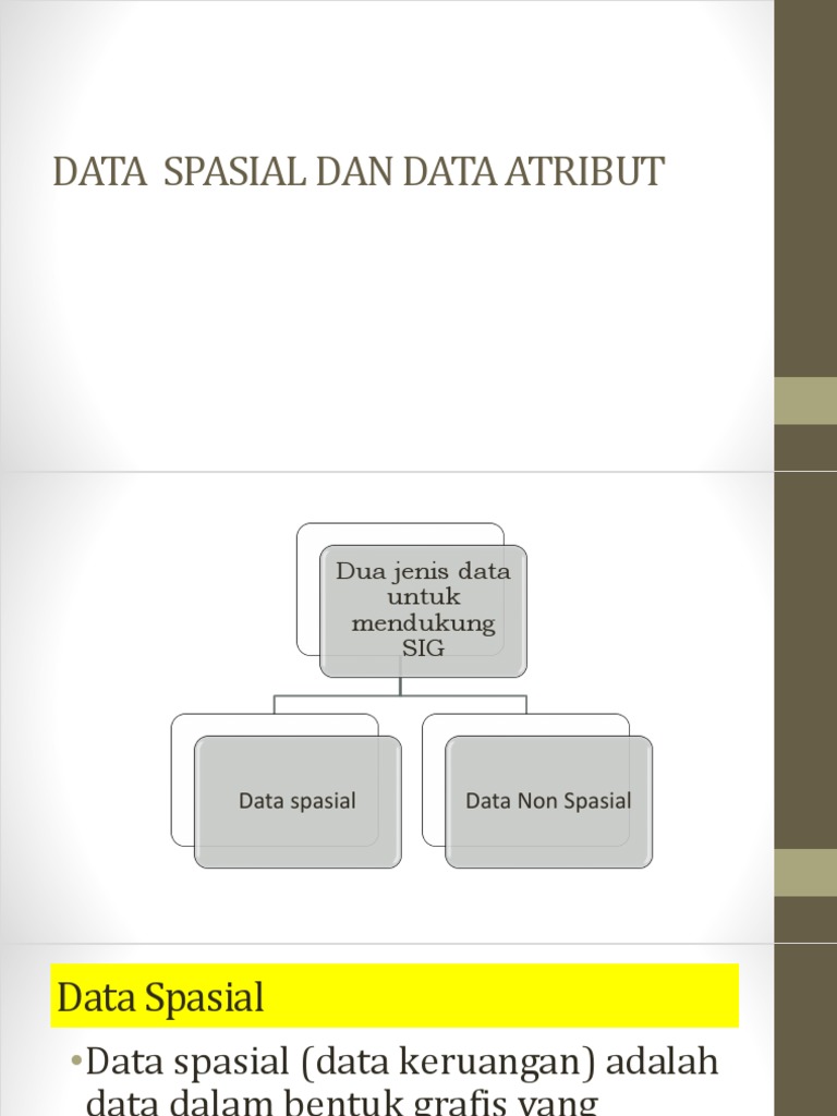 Perbedaan Data Spasial dan Atribut | PDF | Komputer