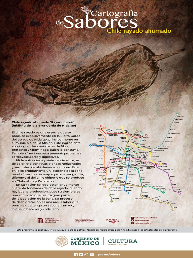 Chile Rayado Ahumado de Hidalgo | PDF | Alimentos | Comida y bebida