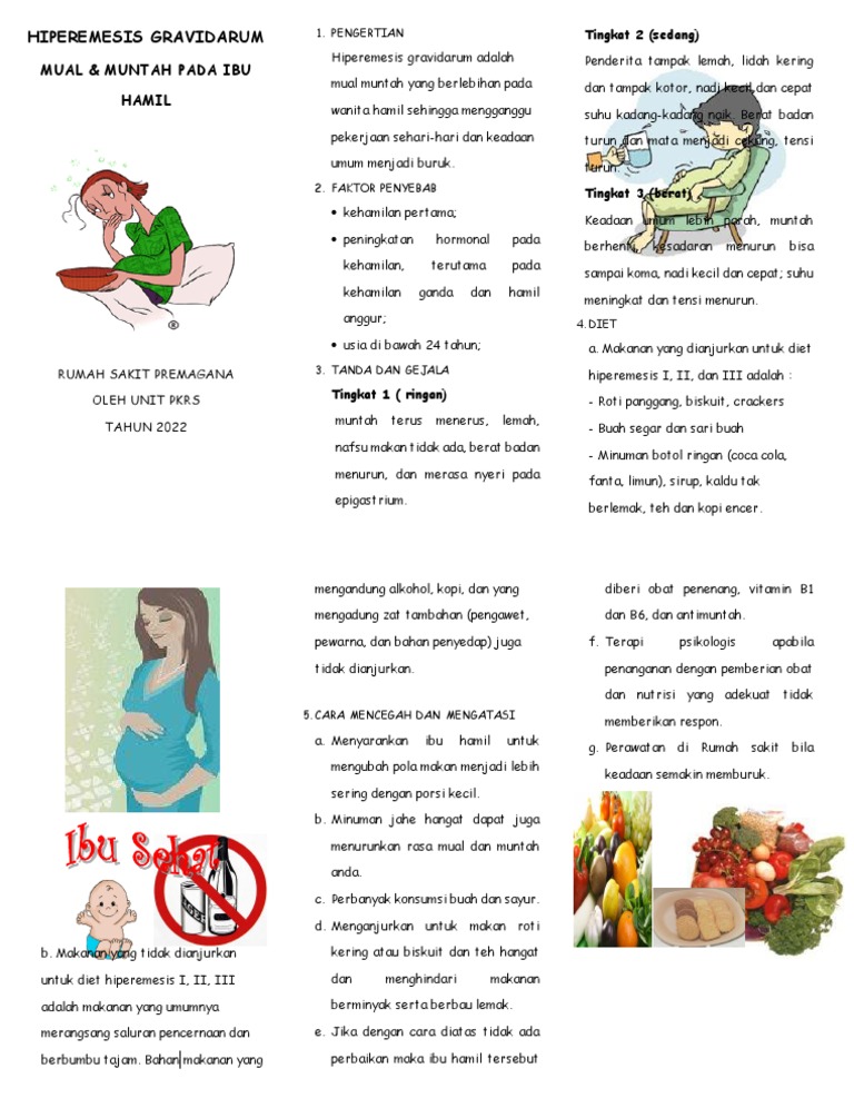Hiperemesis Gravidarum Leaflet | PDF
