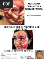 Músculos de La Mímica | PDF | Nariz humana | Anatomía humana