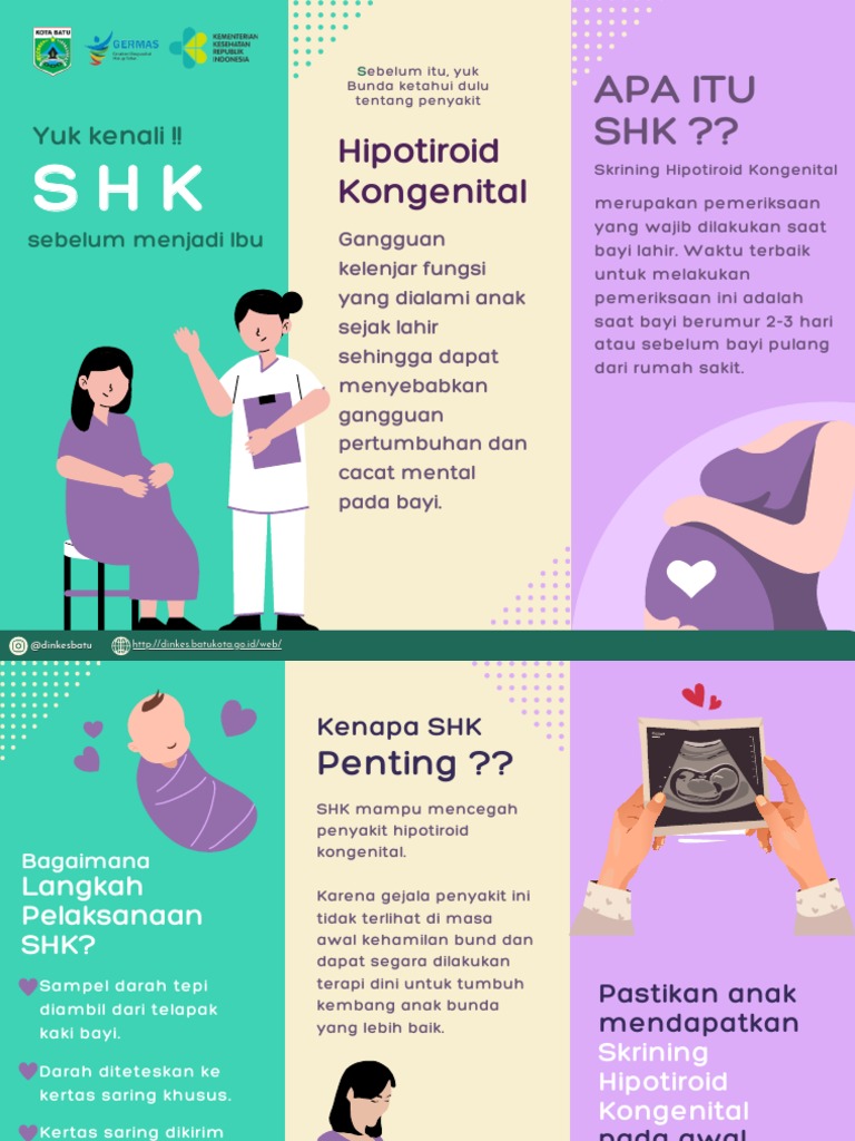 Leaflet SHK 2 | PDF | Pengembangan Diri | Kesehatan Holistik