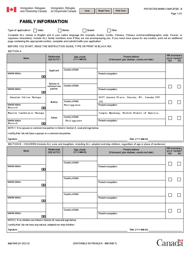 Imm5645e Family Information | PDF