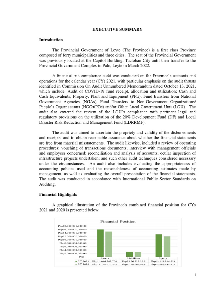 Leyte-Executive-Summary-2021 | PDF | Audit | Regulatory Compliance
