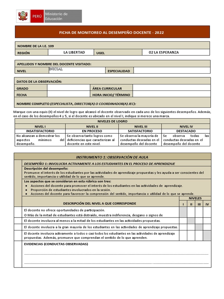 Ficha de Monitoreo Docente (1) | PDF | Evaluación | Aprendizaje