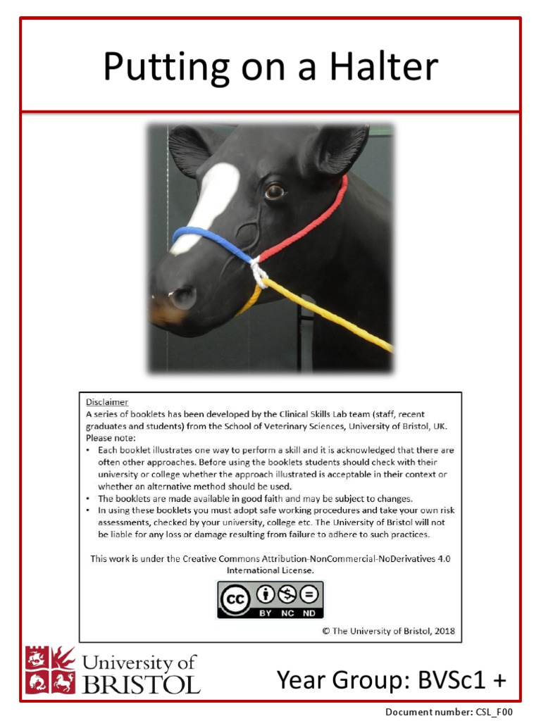 Putting On A Halter | PDF