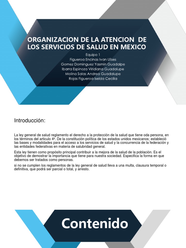 exposicion ley general de salud | PDF