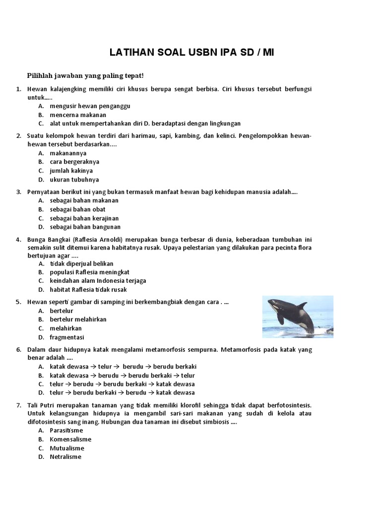 Latihan Usbn-Ipa SD Kelas 6 | PDF