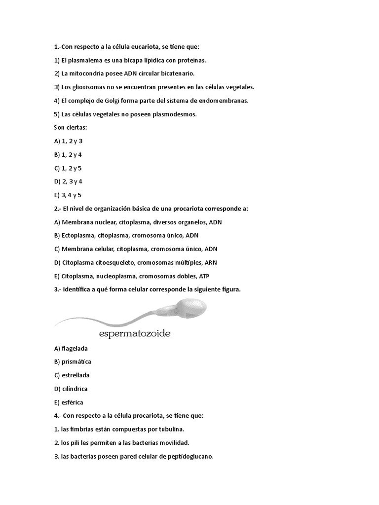 Prei y Pre Ii | PDF Prei y Pre Ii | PDF