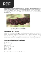 Gundhi Bug Zoo | PDF | Rice | Insects