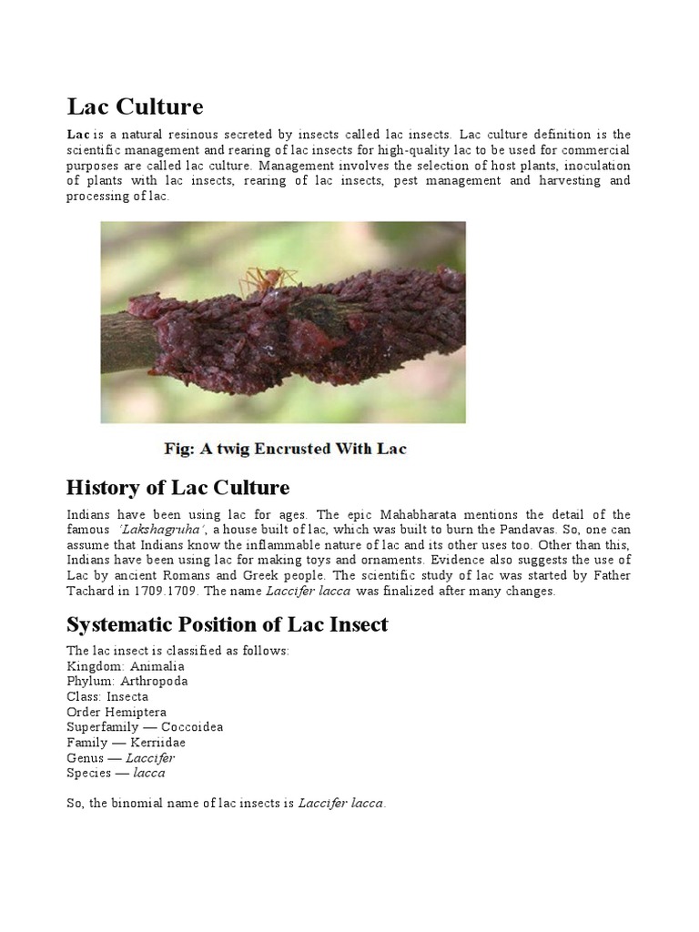 Lac Culture | PDF | Insects