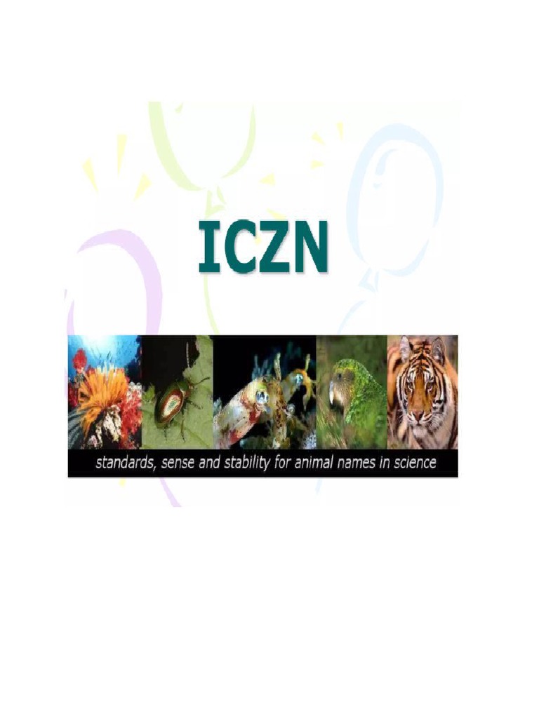 ICZN | PDF