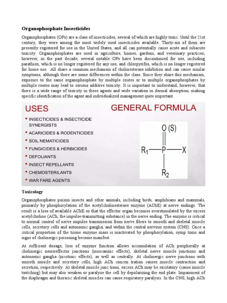 Organophosphates | PDF | Acetylcholine | Insecticide