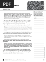 A Quilt of A Country Summary | PDF | Quilt