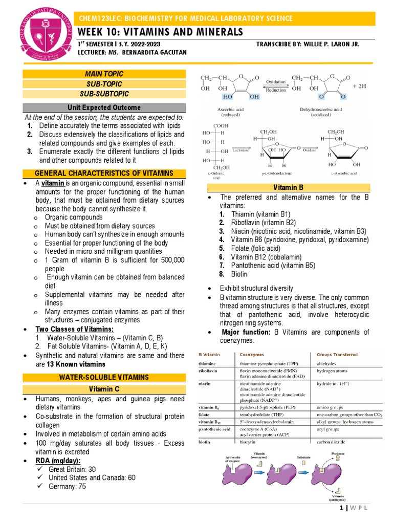 Vitamins and Minerals | PDF | Vitamin A | Vitamin