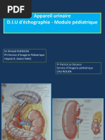 Syndrome de la Jonction Pyelo-Uréterale | PDF | Rein | Spécialités ...