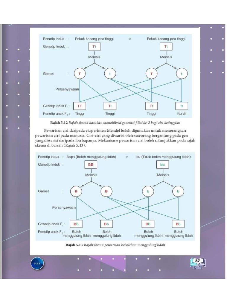 mat salleh uncit wkwkwkkwwk | PDF