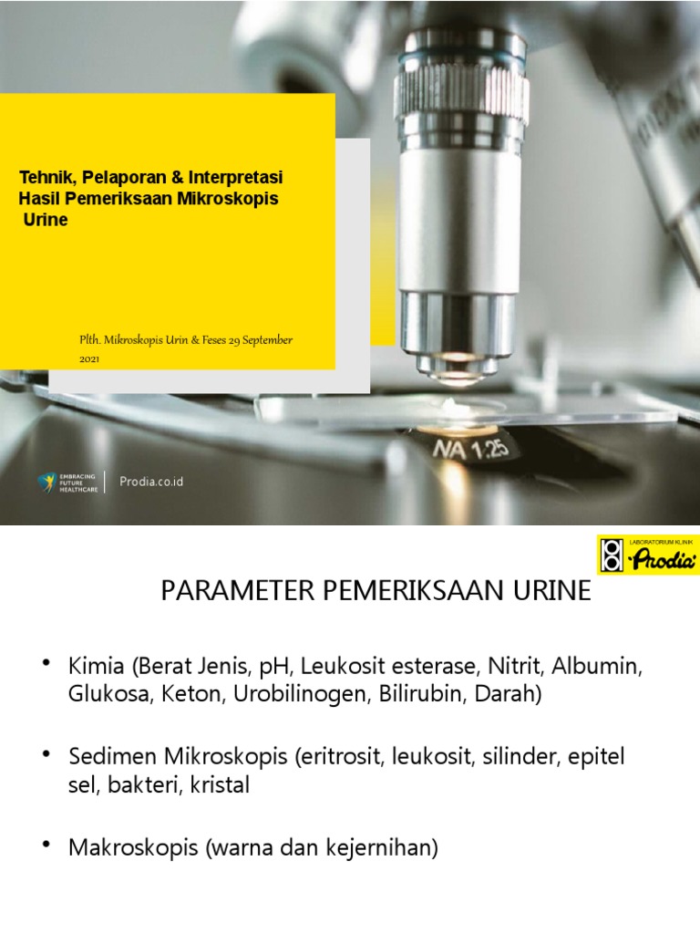 Tehnik, Pelaporan & Interpretasi Hasil Pemeriksaan Mikroskopis Urin ...