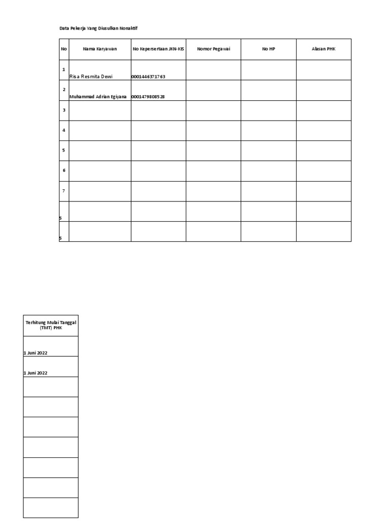 (Soft Copy Saja) File Excel Rekap Data Pekerja PHK | PDF