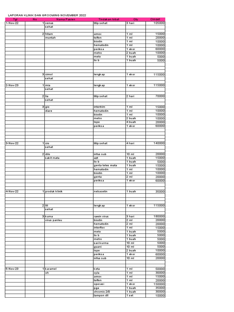 Contoh Laporan Pembukuan Klinik & Grooming Hewan | PDF