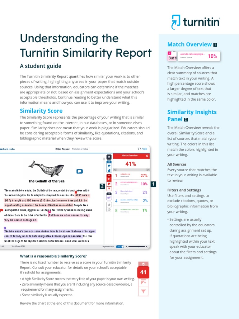 Understanding The Turnitin Similarity Report A Student Guide | PDF | Whales | Cetacea