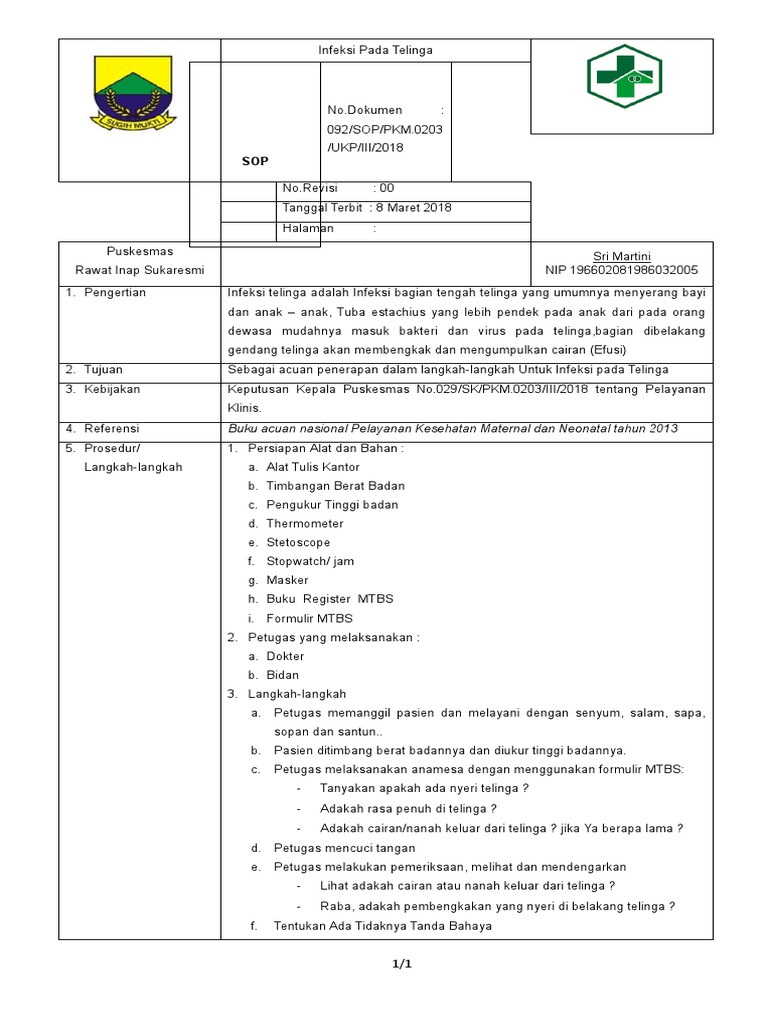 Infeksi Telinga | PDF