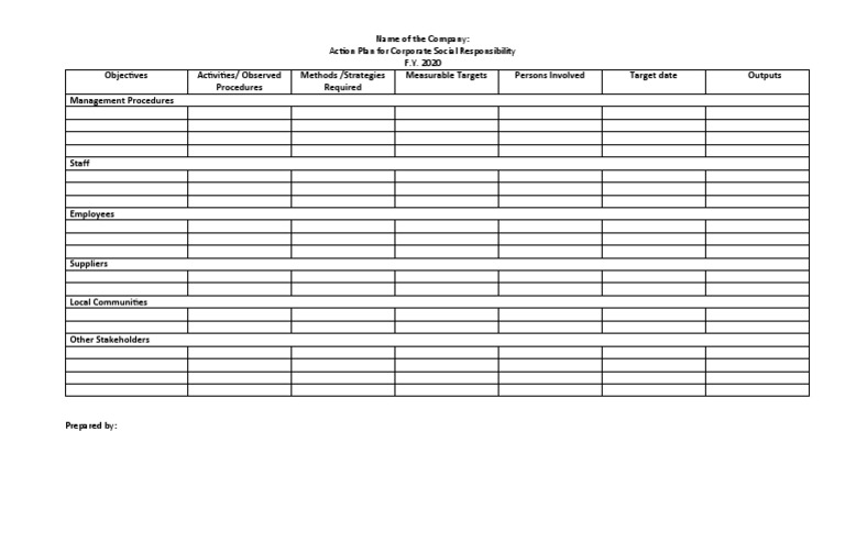 CSR Action Plan Template | PDF