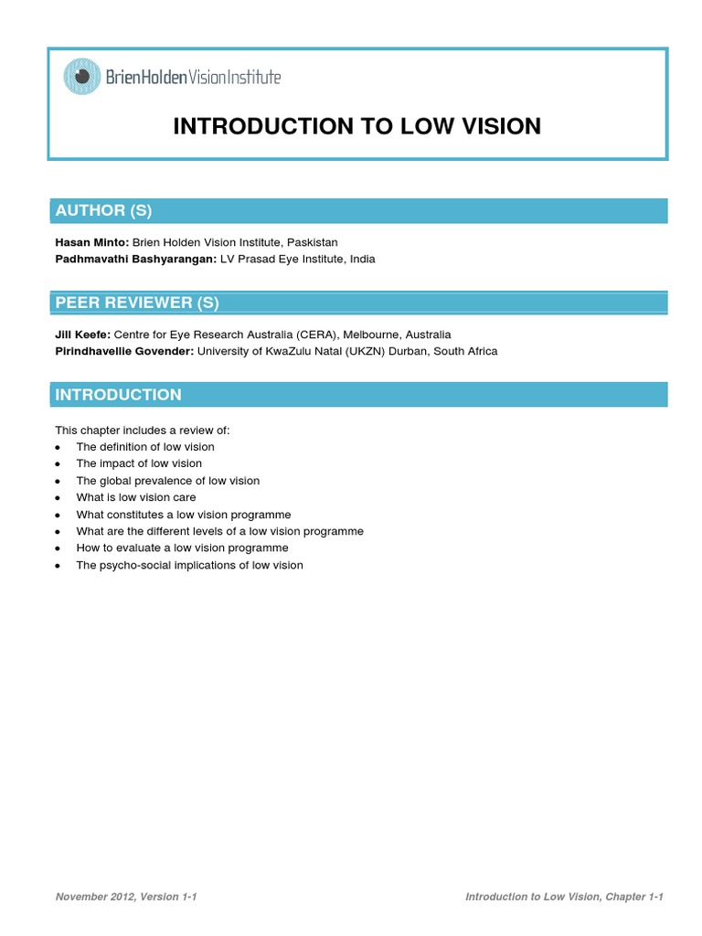 01 Introduction To Low Vision | PDF
