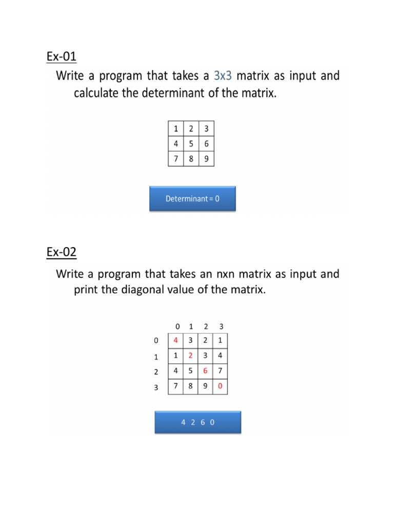 CSE 105 - 08 - 2D Array - QQQQ | PDF