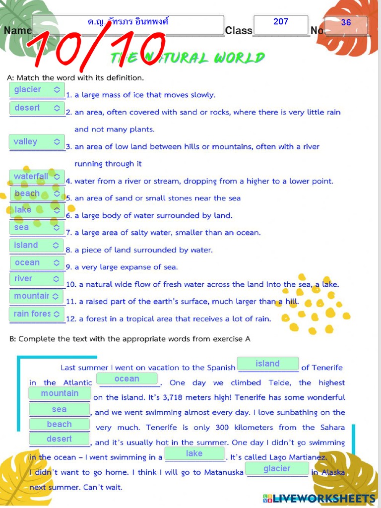 The Natural World Worksheet | PDF