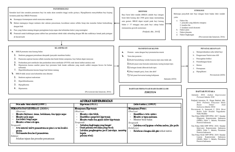 LP Mind Map BBLR | PDF